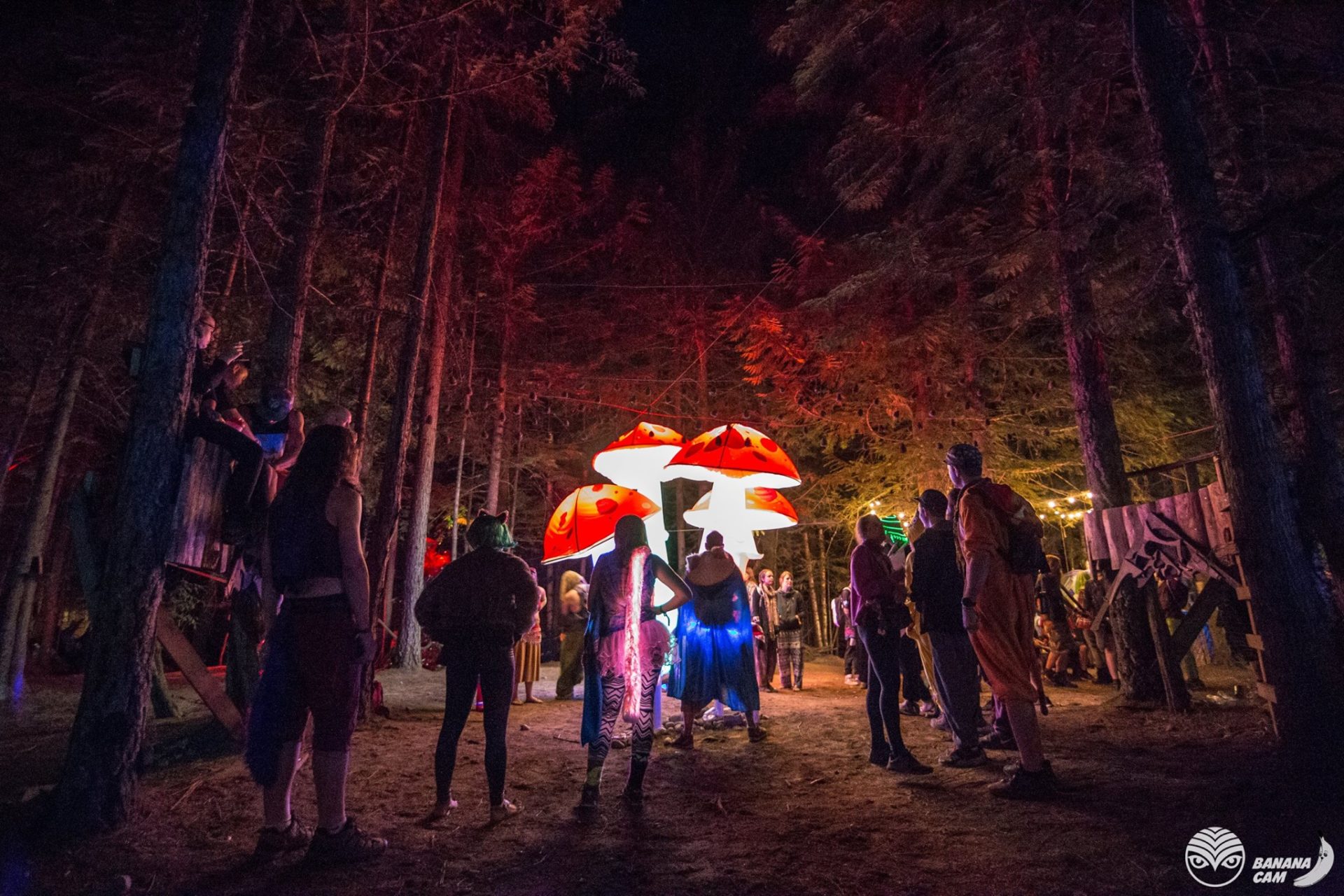 Survey Shows the Most Used Drugs at Festivals: Here's What We Learned