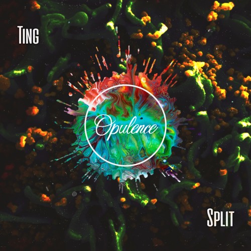 Canadian Artist Ting Releases New Bass Track 'Split'